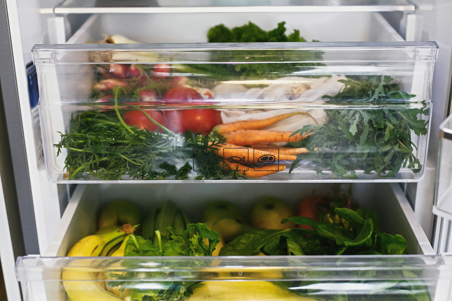 How to Keep Your Fridge Neat and Organized